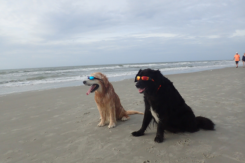 Putney’s World – Putney Designs, LLC