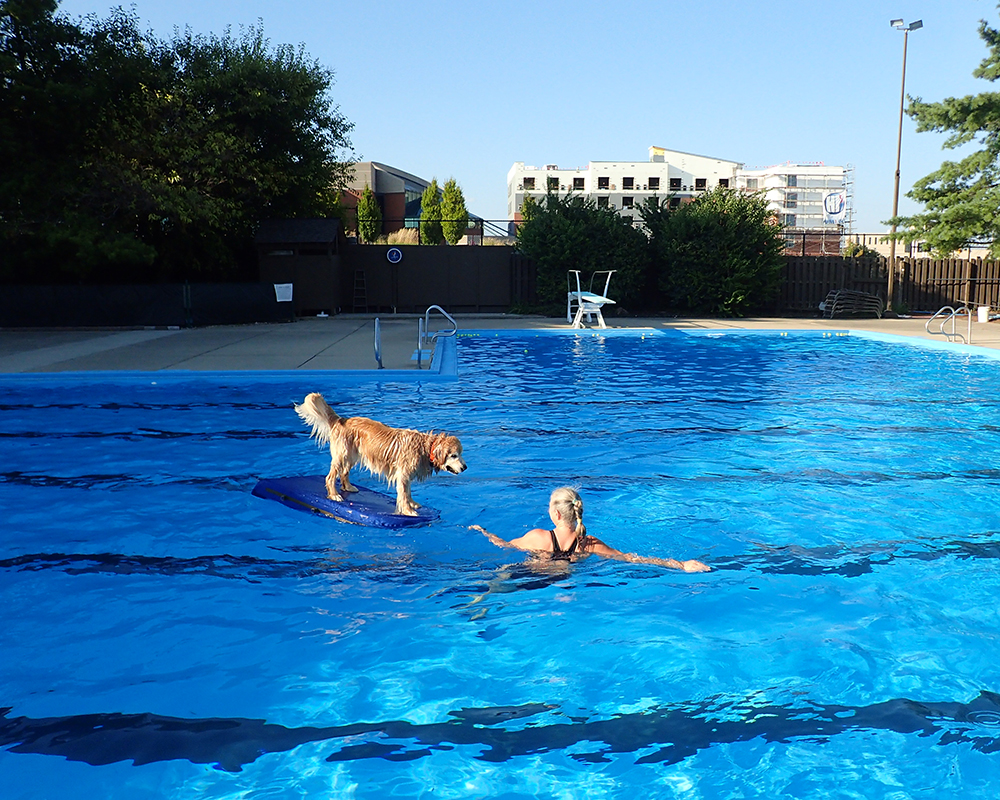 Design Gallery – Putney Designs, LLC