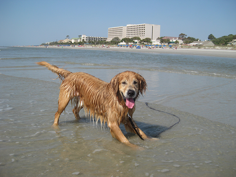 Putney’s World – Putney Designs, LLC