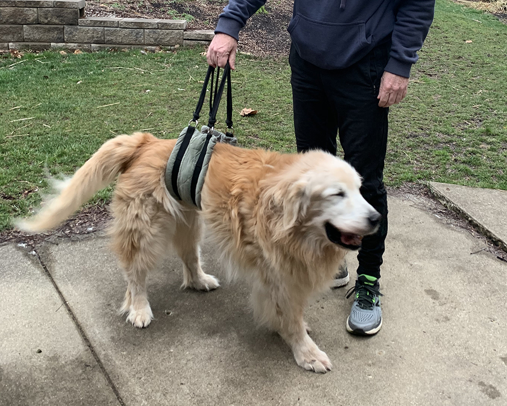 Design Gallery – Putney Designs, LLC